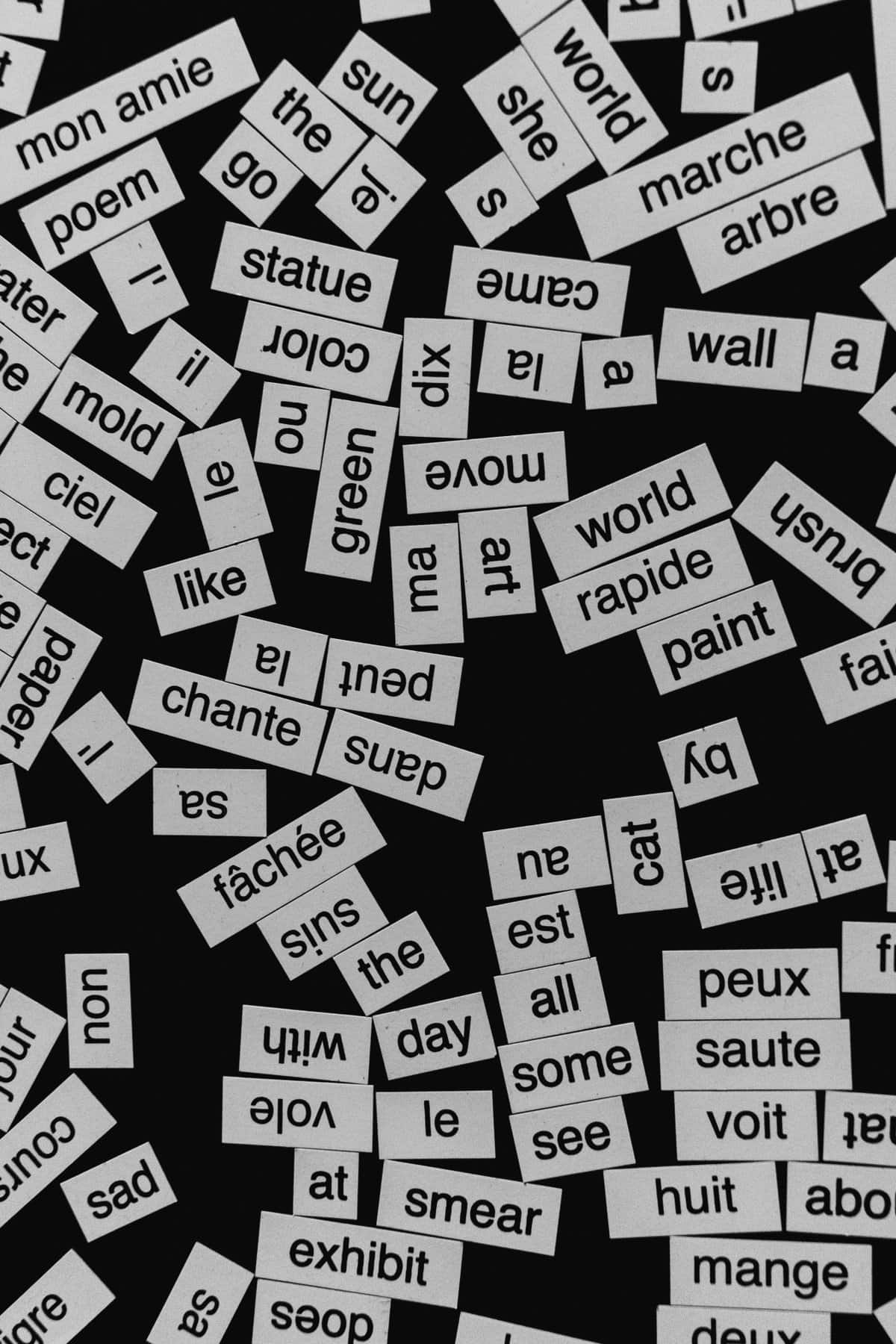 Linguistic purism and conlangs • Rosetta Translation